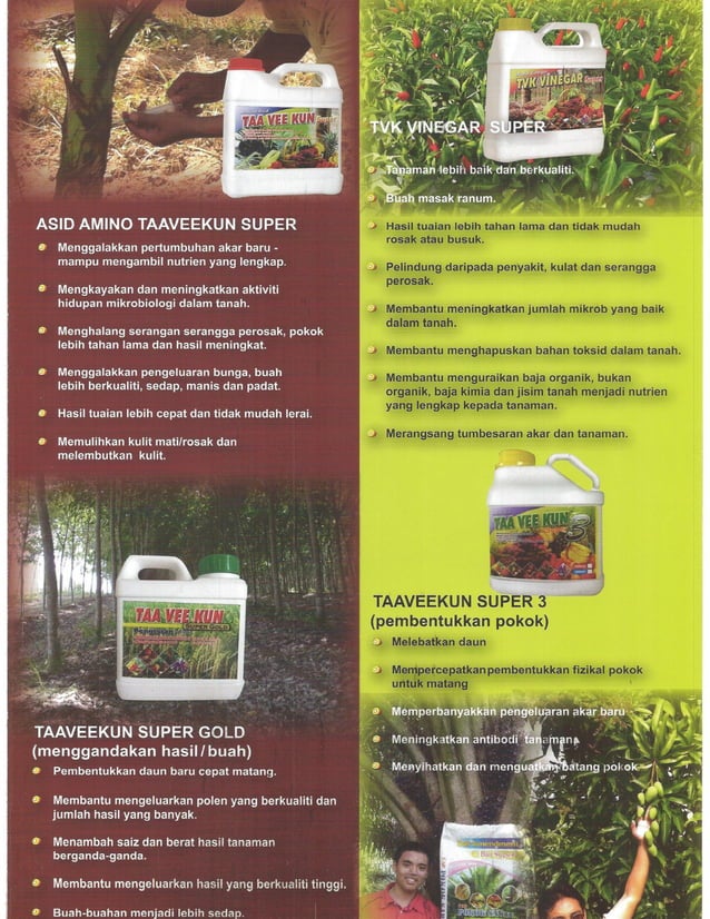 Brochure baja taaveekun 3 CASB | PDF