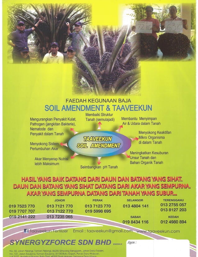 Brochure baja taaveekun 3 CASB | PDF