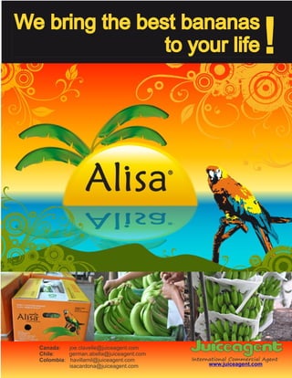 Brochure banano juiceagent | PDF | South America Travel | Travel Locations