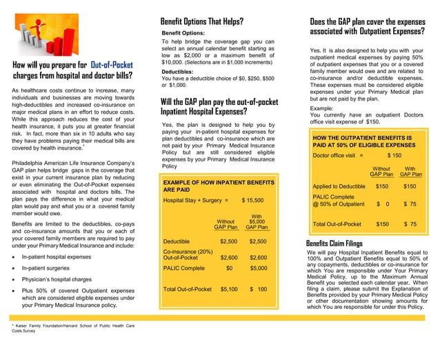 Brochure bridging the gap | PDF | Pregnancy | Reproductive Health