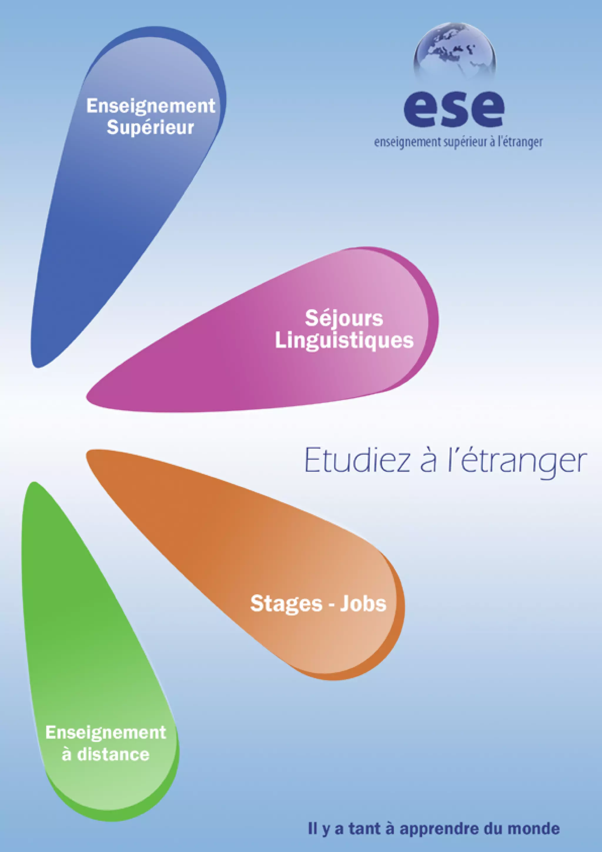 Brochure button print | PDF