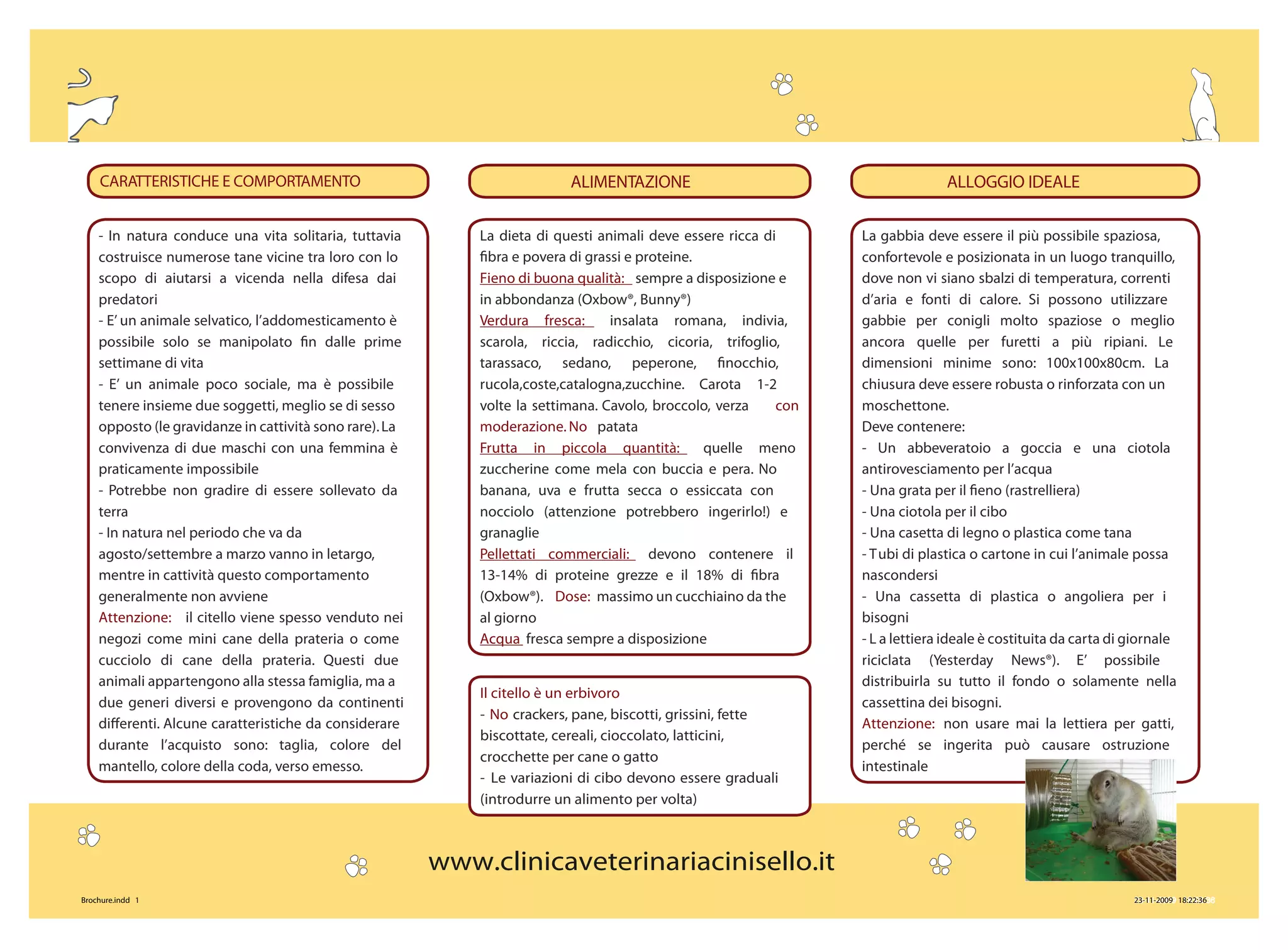 Informazioni citello - Clinica Veterinaria Cinisello | PDF