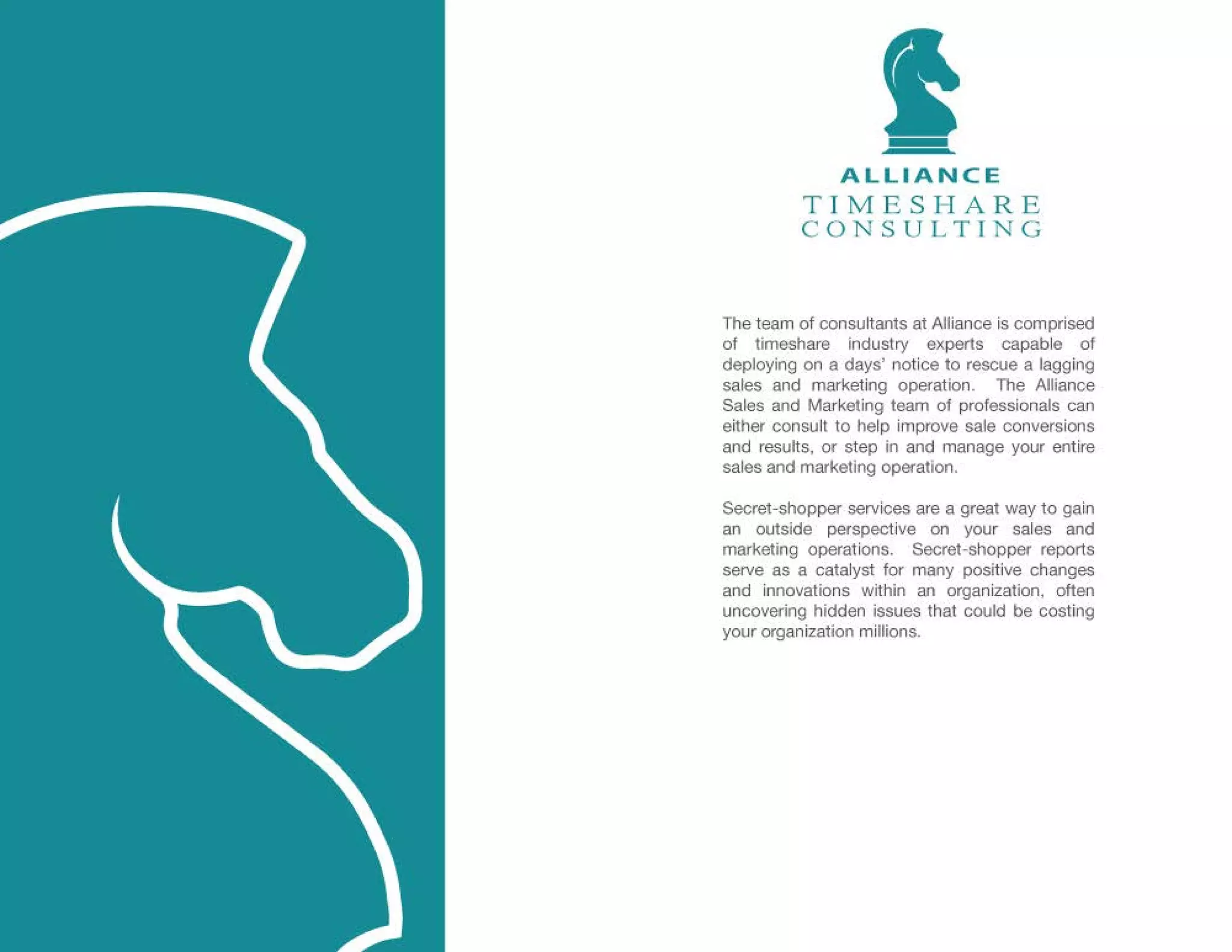 Alliance Sales and Marketing Solutions ARDA World Brochure | PDF
