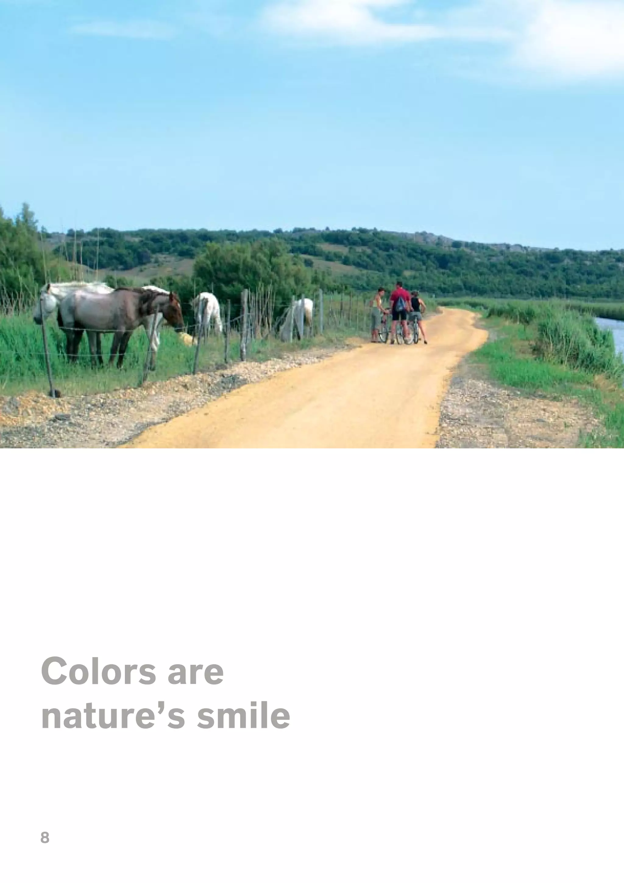 Coloring of asphalt | PDF