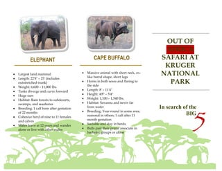 Brochure de africa safari | PDF