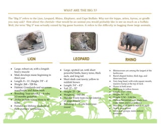 Brochure de africa safari | PDF