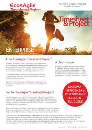 ECOSAGILE TIMESHEET & PROJECT | PDF