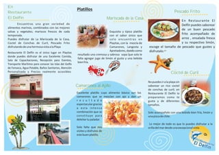 Brochure el delfin | PDF