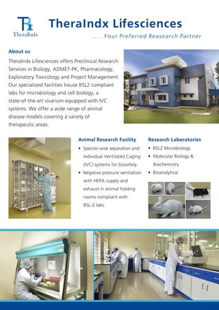 Brochure final | PDF