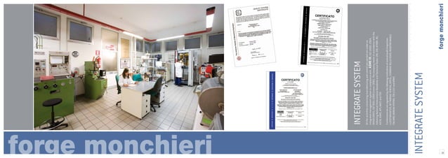 Forge Monchieri Spa - Heavy Forgings - Nuclear - Powergen - Power Plant ...