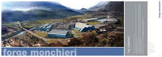 Forge Monchieri Spa - Heavy Forgings - Nuclear - Powergen - Power Plant ...