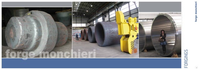 Forge Monchieri Spa - Heavy Forgings - Nuclear - Powergen - Power Plant ...