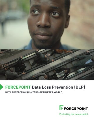 Brochure forcepoint dlp_en | PDF