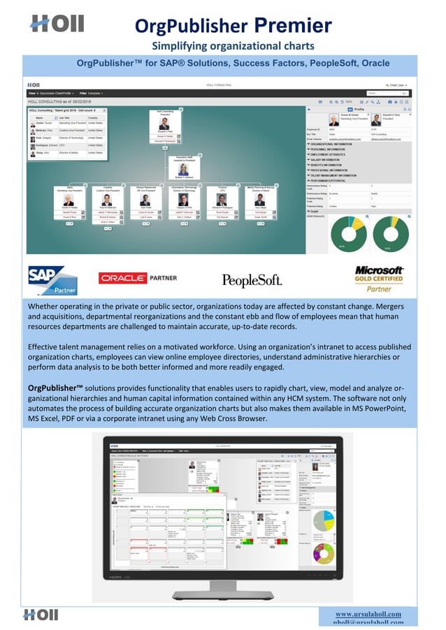 OrgPublisher- HOLL Consulting Brochure | PDF