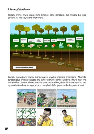 Ndiyemeje guharanira isuku no gutunganya neza imicafu - CTB BURUNDI ...