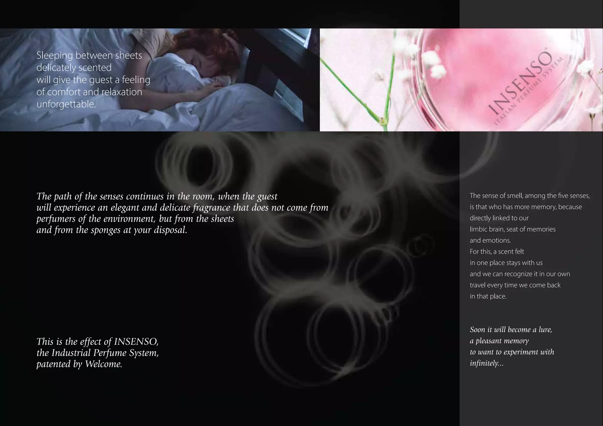 Brochure insenso english version | PDF