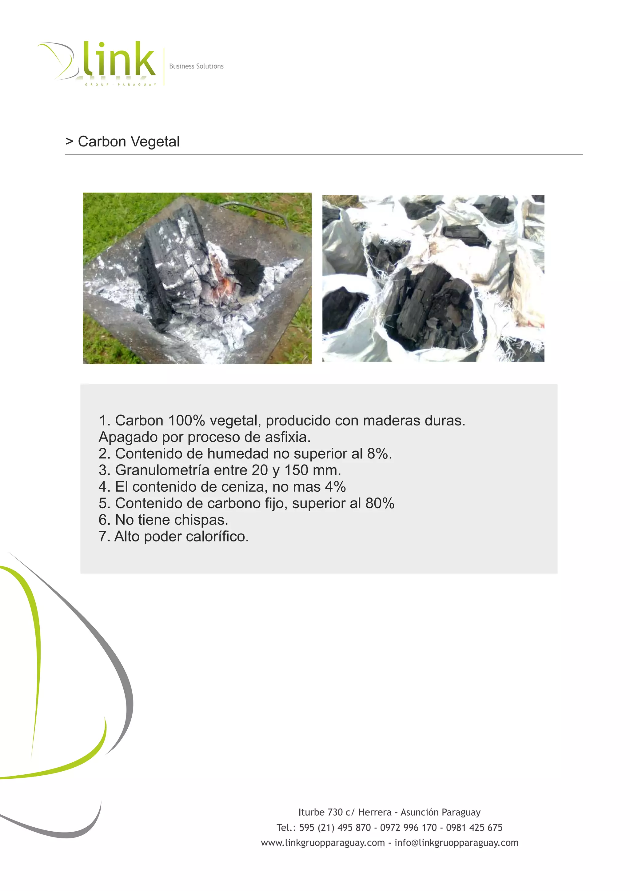 Brochure Link Group Paraguay | PDF