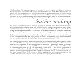 Brochure made in ethiopia | PDF