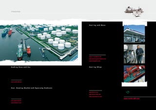 An introduction of Marquard & Bahls | PDF