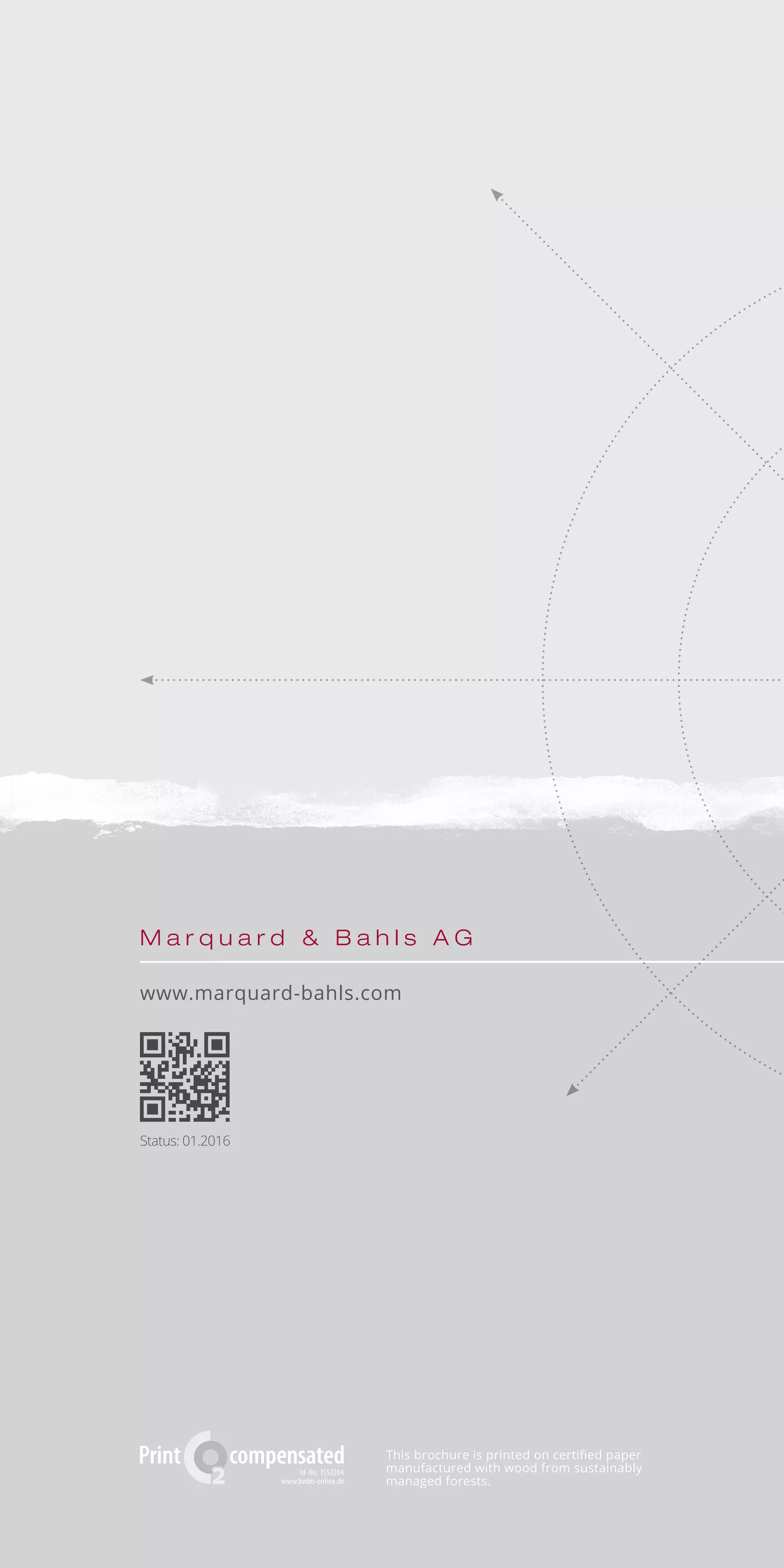 Marquard & Bahls Value Chain | PDF