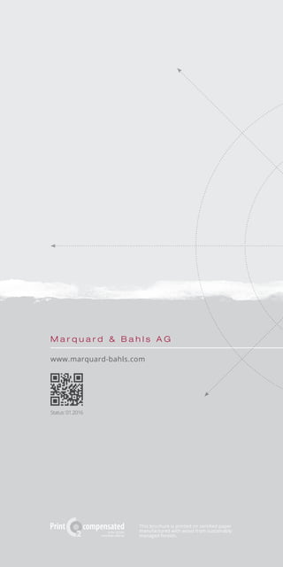 Marquard & Bahls Value Chain | PDF