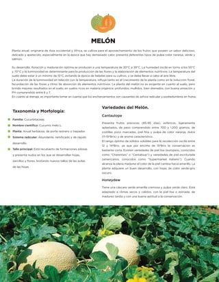 Plantación de Melon | PDF