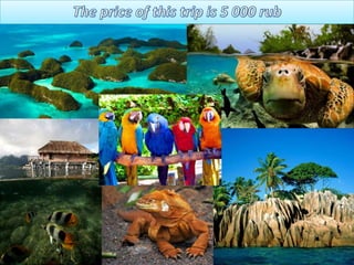 Brochure of bora bora | PPTX