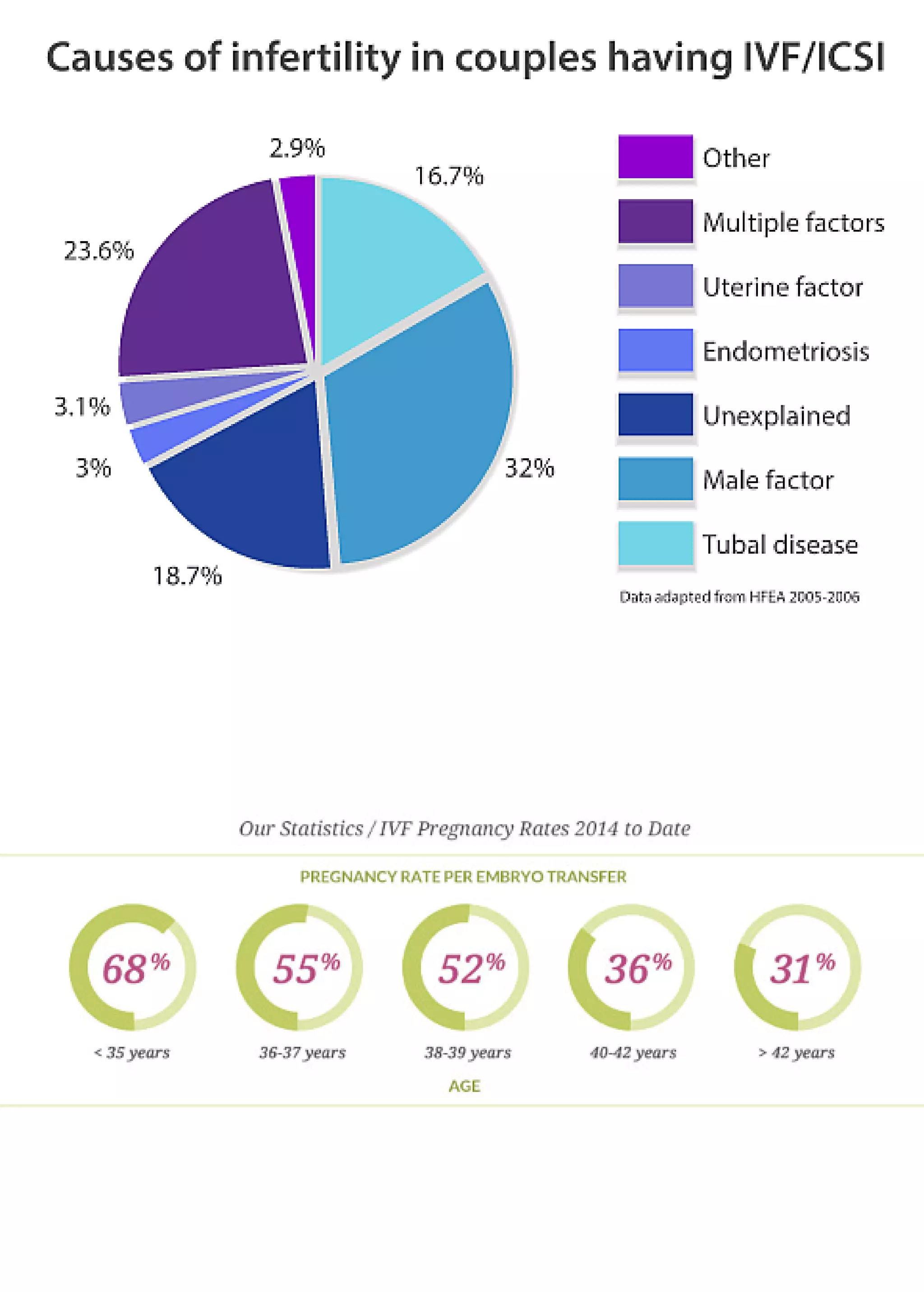 Brochure of ivf | PDF