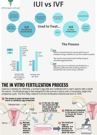 Brochure of ivf | PDF