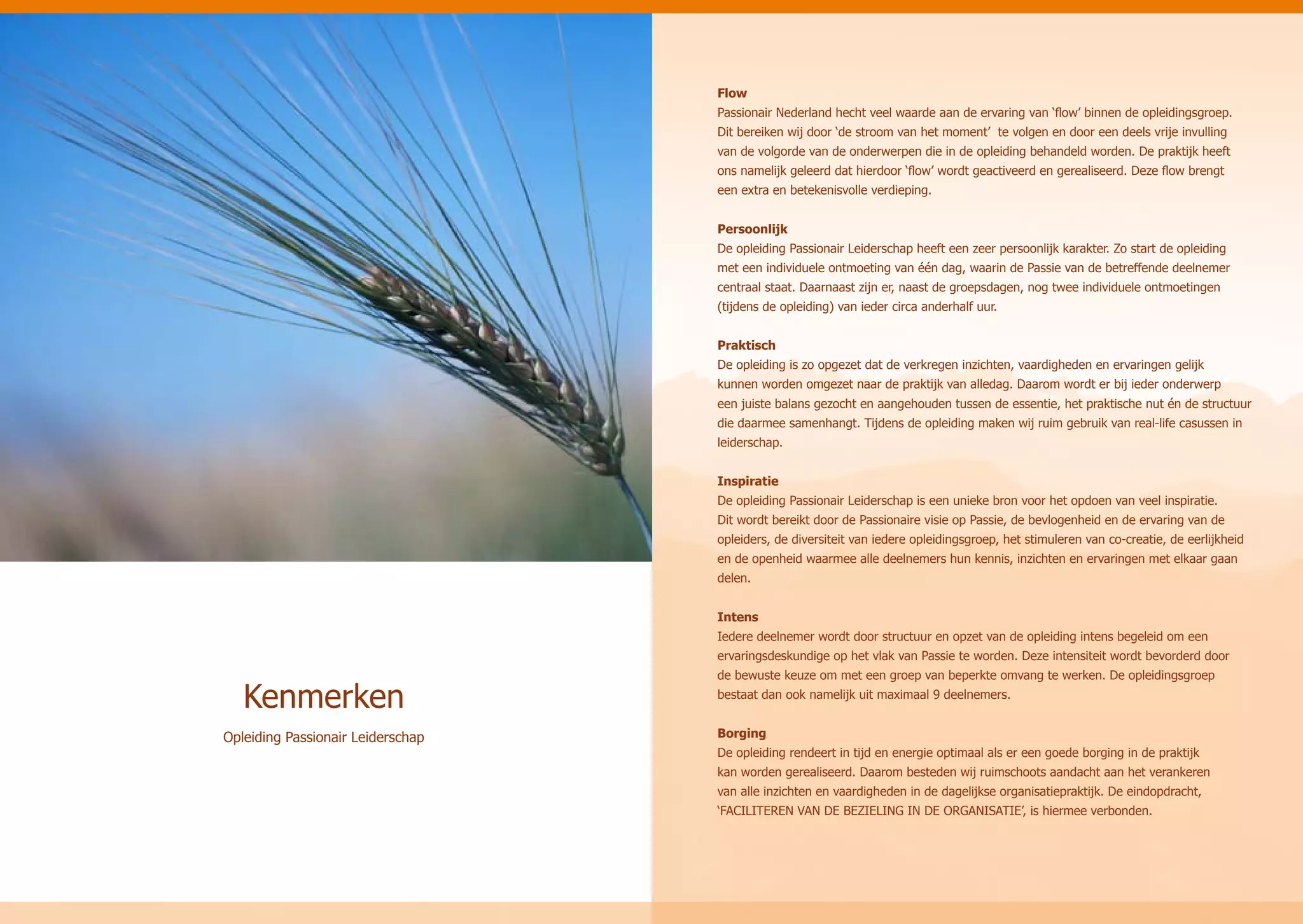 Brochure Opleiding Passionair Leiderschap | PDF