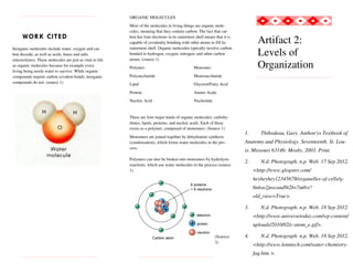 Brochure pdf | PPT