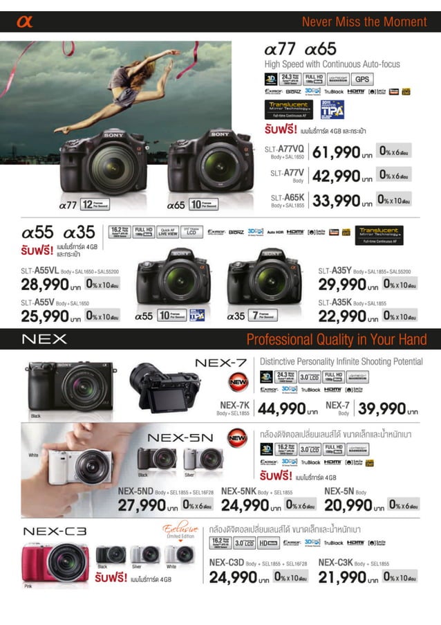 Brochure promotion sony festival 2012 | PDF