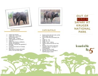 Brochure safari | PPT