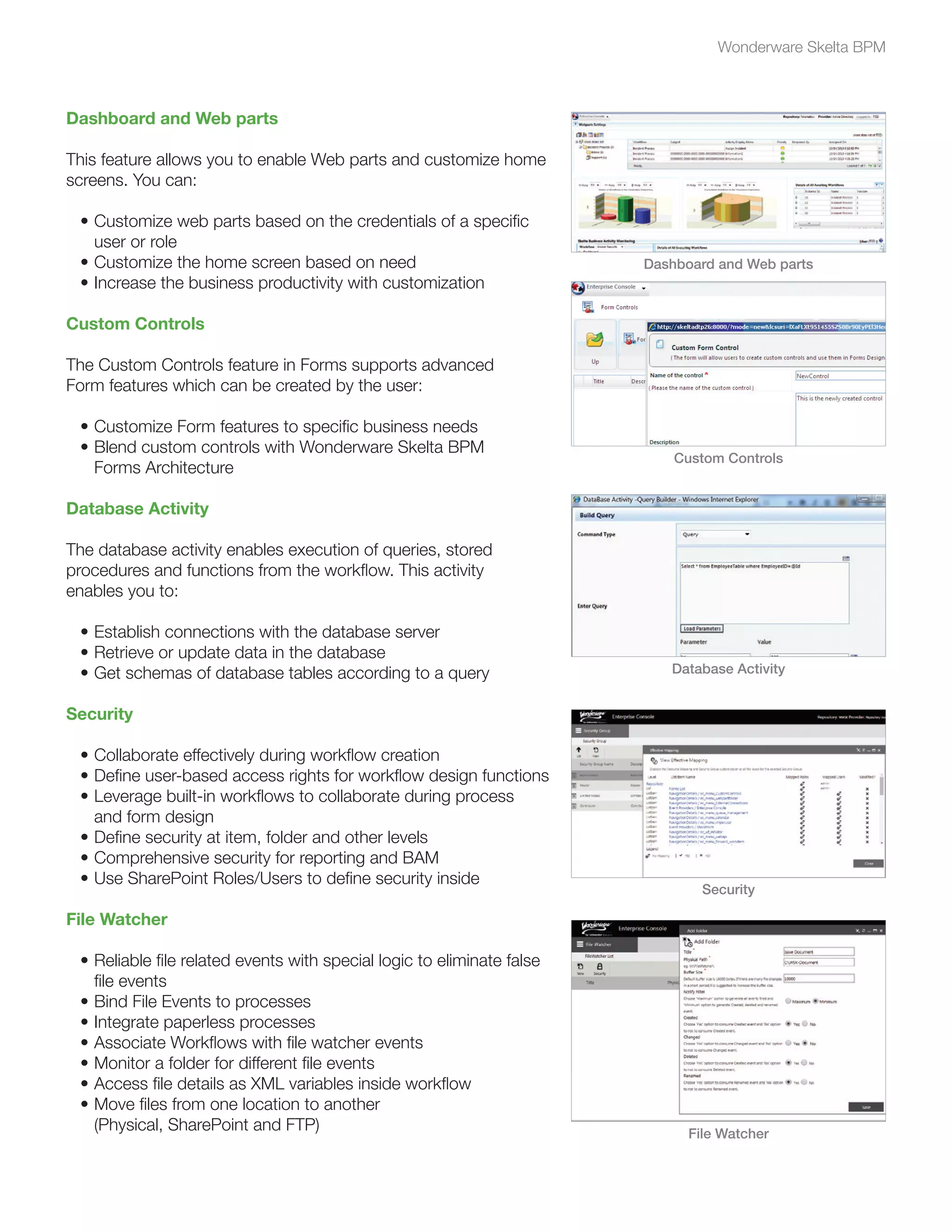 Wonderware Skelta BPM Software Brochure | PDF