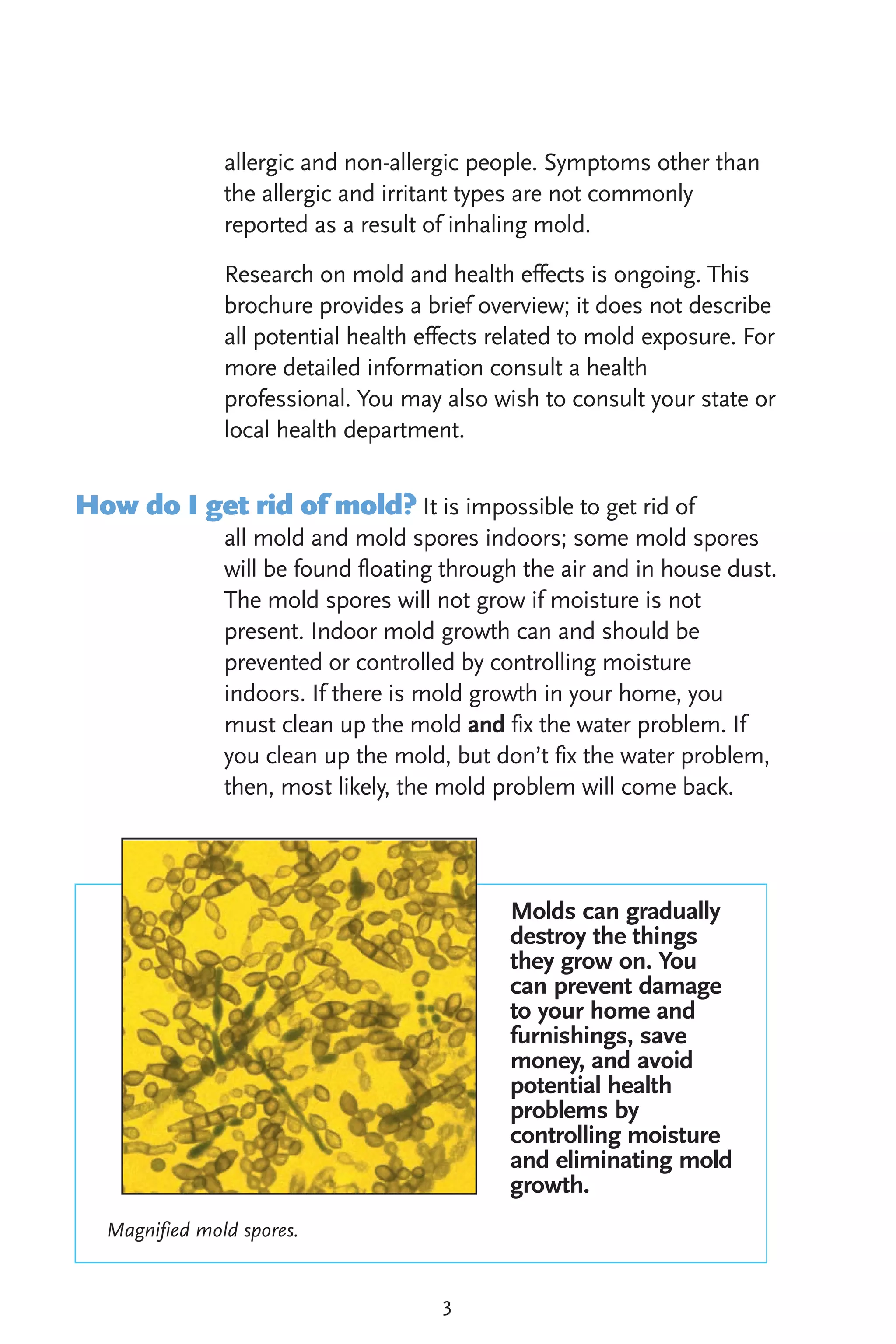 EPA Guide to Mold | PDF
