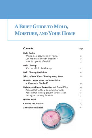 EPA Guide to Mold | PDF