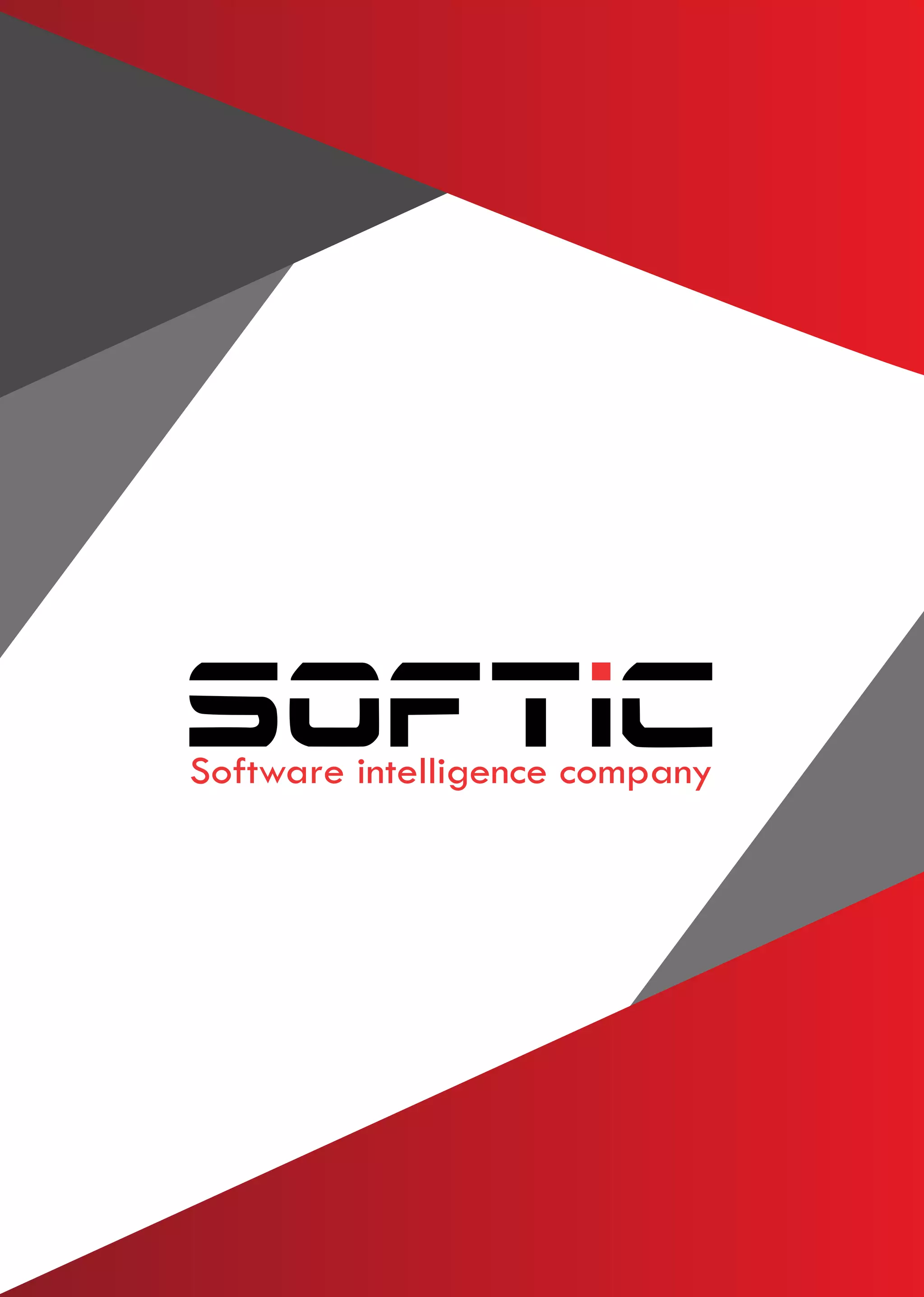 SOFTIC SOFTWARE | PDF