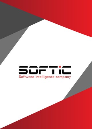 SOFTIC SOFTWARE | PDF