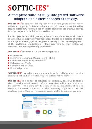 SOFTIC SOFTWARE | PDF