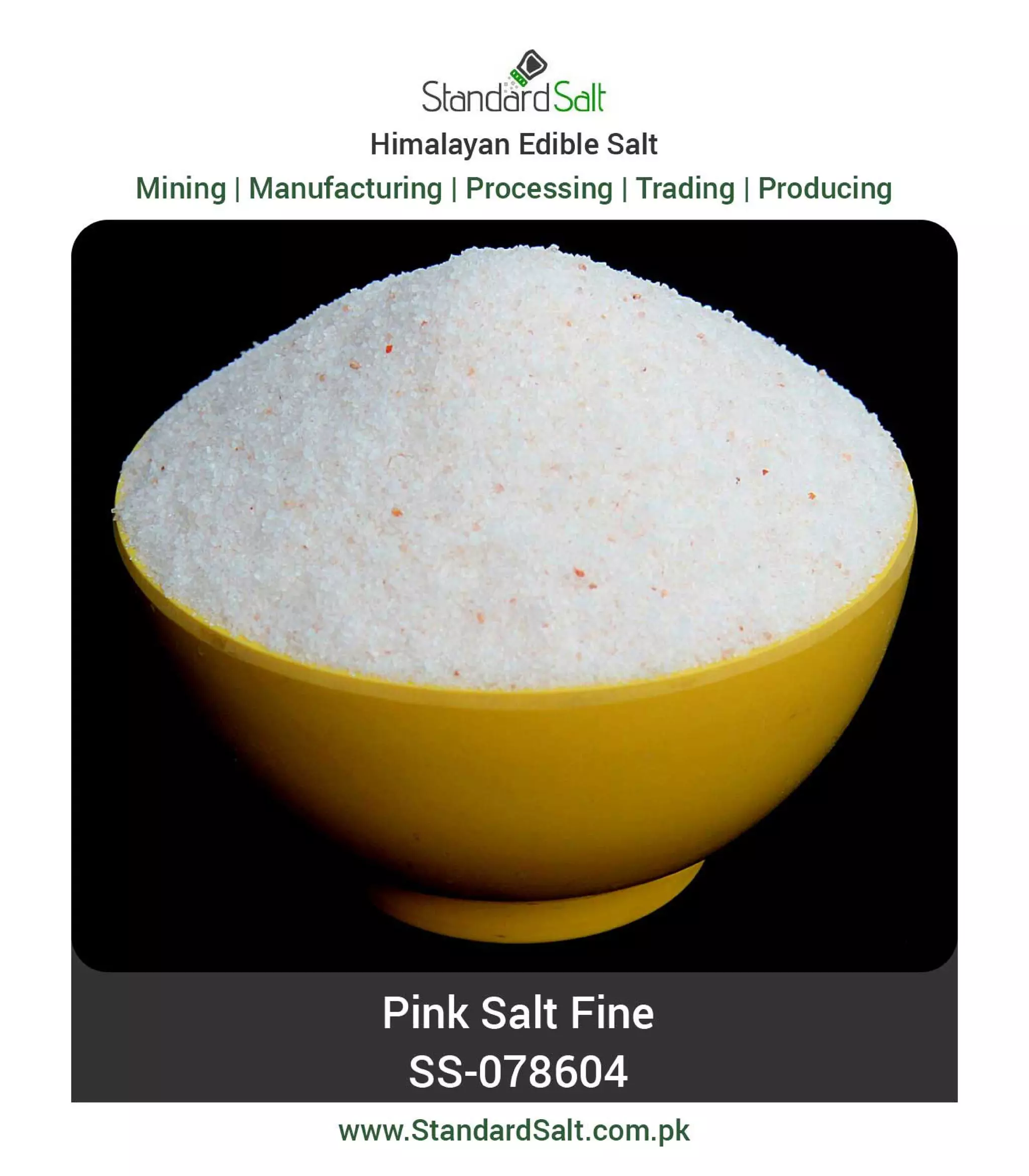 Brochure standard salt-pdf | PDF