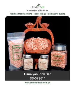 Brochure standard salt-pdf | PDF