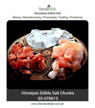 Brochure standard salt-pdf | PDF