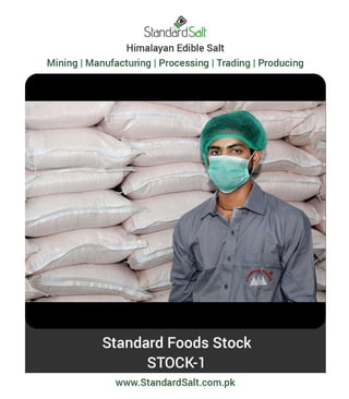 Brochure standard salt-pdf | PDF