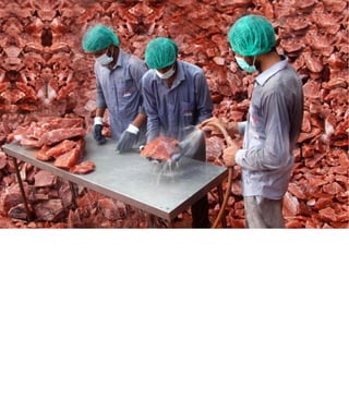 Brochure standard salt-pdf | PDF