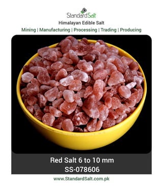 Brochure standard salt-pdf | PDF