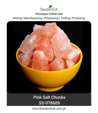 Brochure standard salt-pdf | PDF