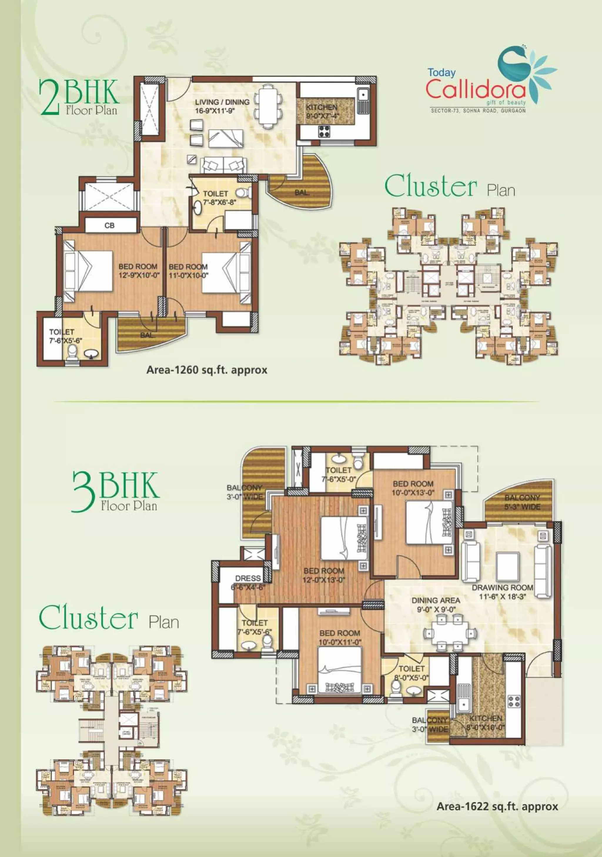 today callidora | PDF