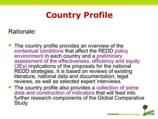 Country profile guidelines: Myanmar | PPTX