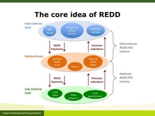 Forests, Climate Change and REDD+: A brief introduction | PPTX