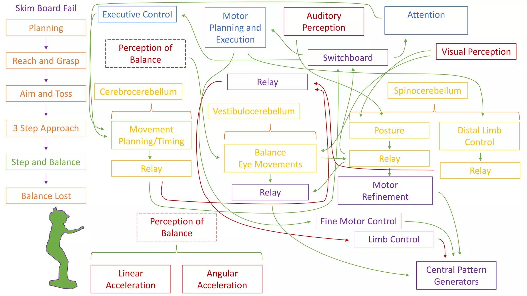 Schema- Neural Basis of Human Movement | PPTX